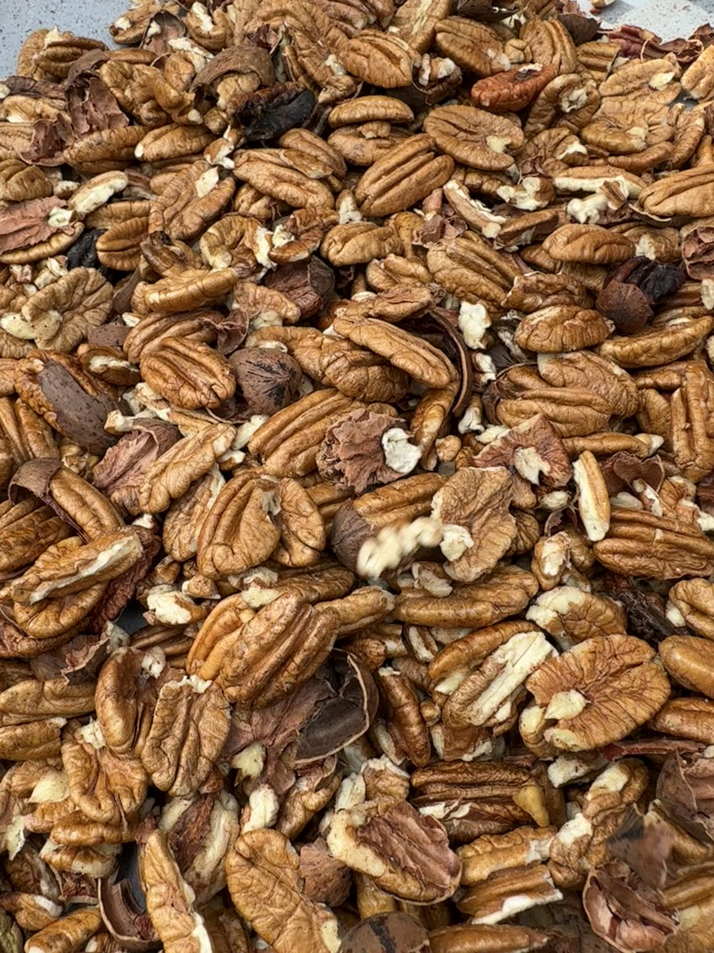 WEST GEORGIA PECAN – WEST GEORGIA PECAN